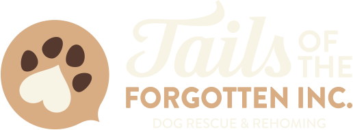 Tails of the Forgotten